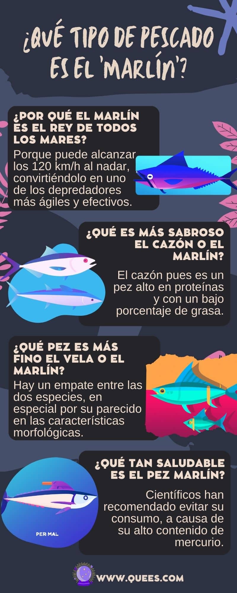 ¿Qué tipo de pescado es el 'Marlín'? ¿Es saludable? Información sobre ...