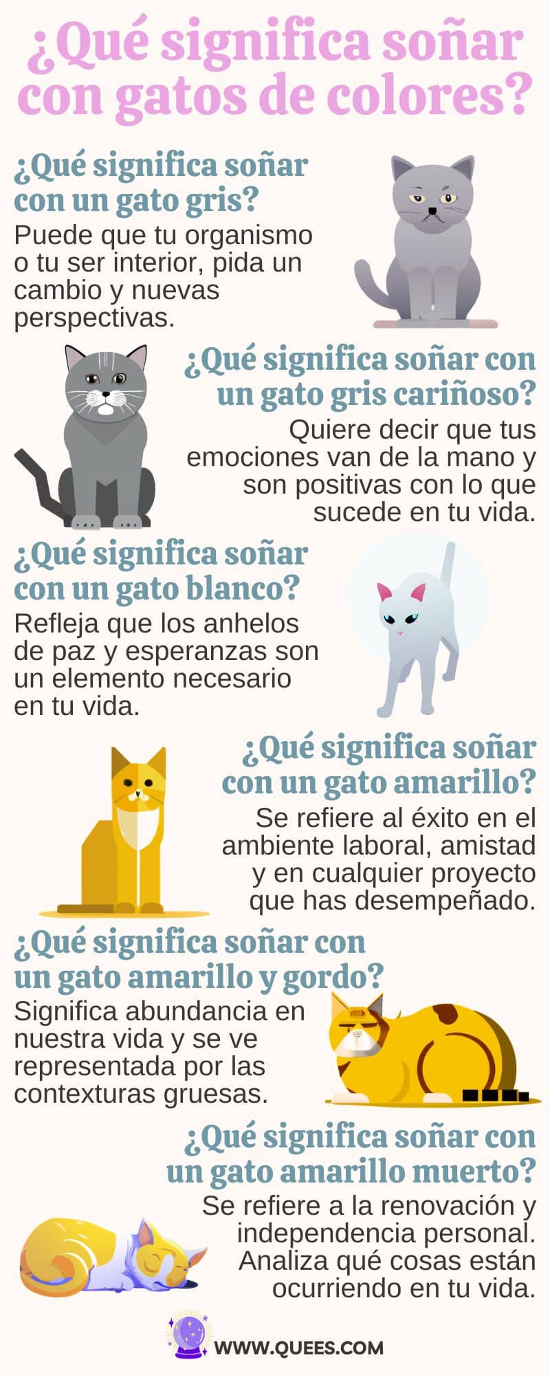 ¿Qué significa soñar con gatos de colores? - Negro, blanco, amarillo y gris