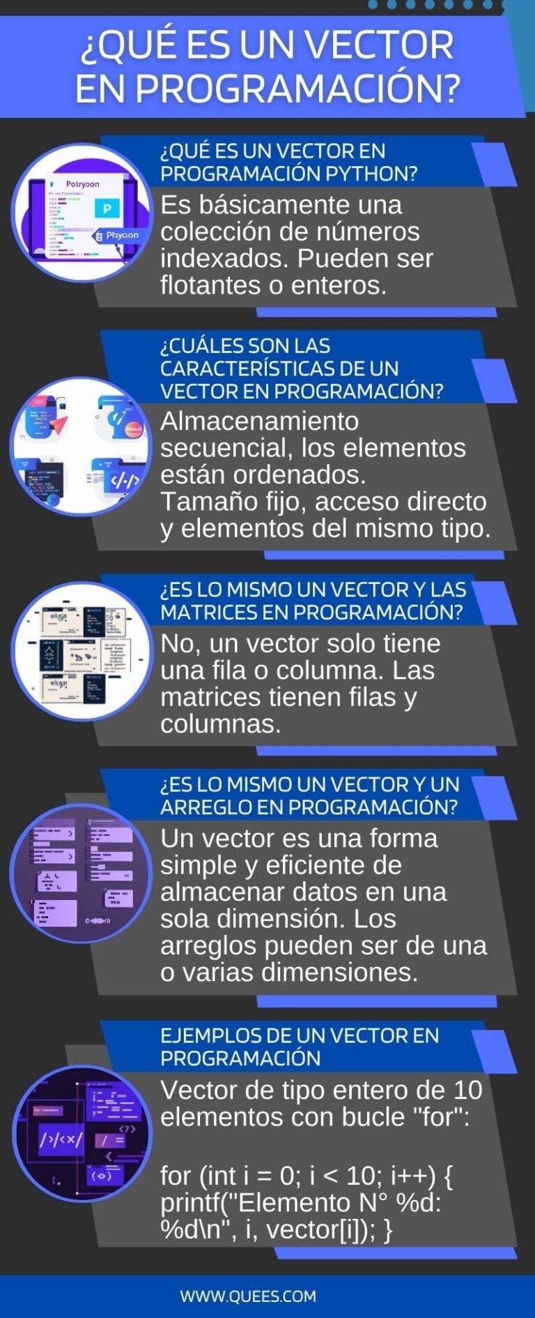 ¿Qué es un vector en programación? Conoce su función, tipos y ejemplos ...