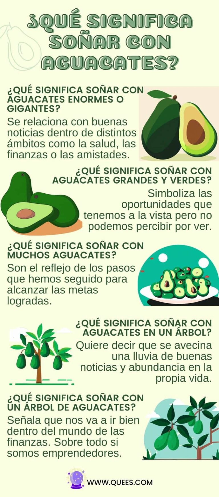 ¿Qué significa soñar con aguacates? - La fruta de aguacate o en su ...