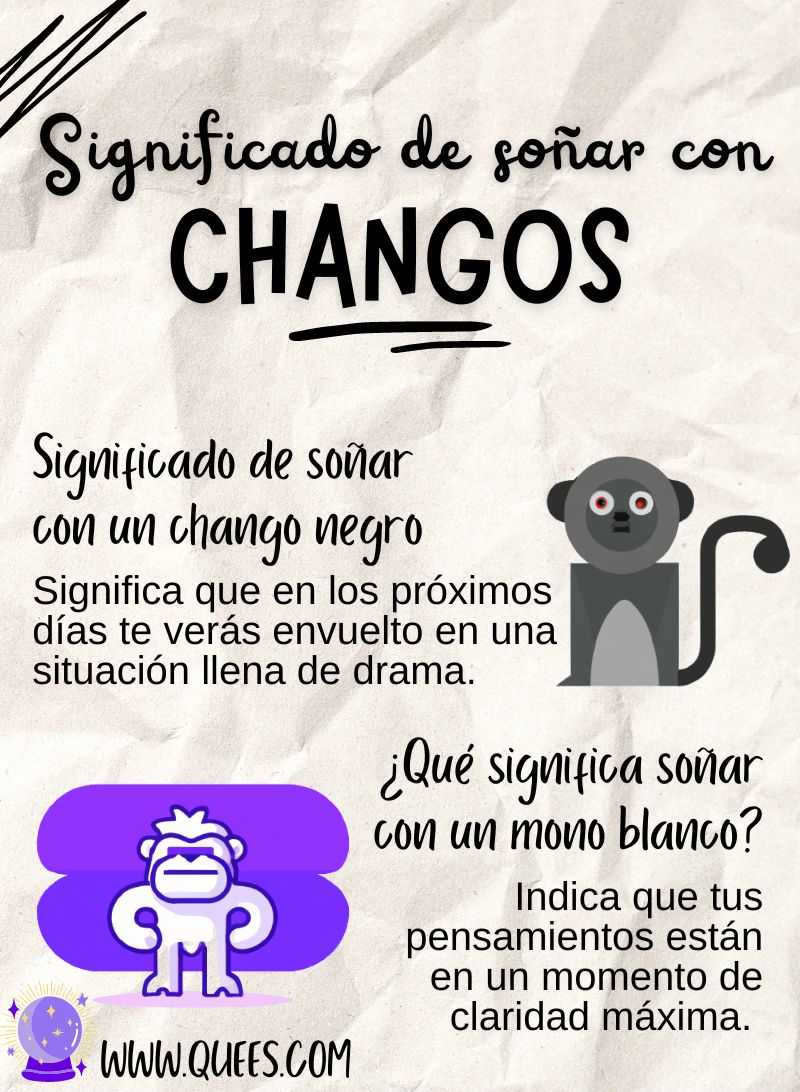 ¿Qué significa soñar con un chango? De color negro o blanco | Qué es