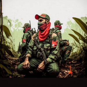 ¿Qué es una guerrilla? - Concepto, tipos y ejemplos de guerrillas | Qué es
