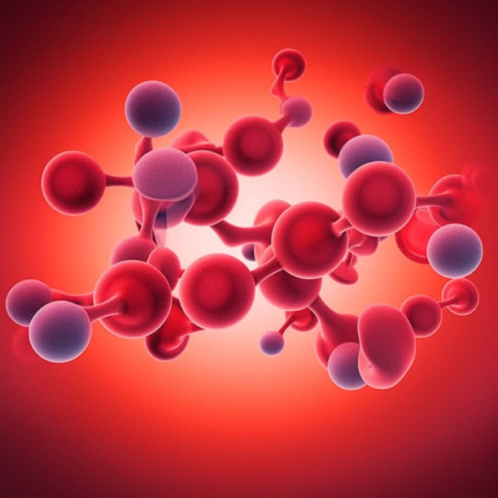 ¿Qué es un líquido hemático? - Conoce la función del líquido hemático ...