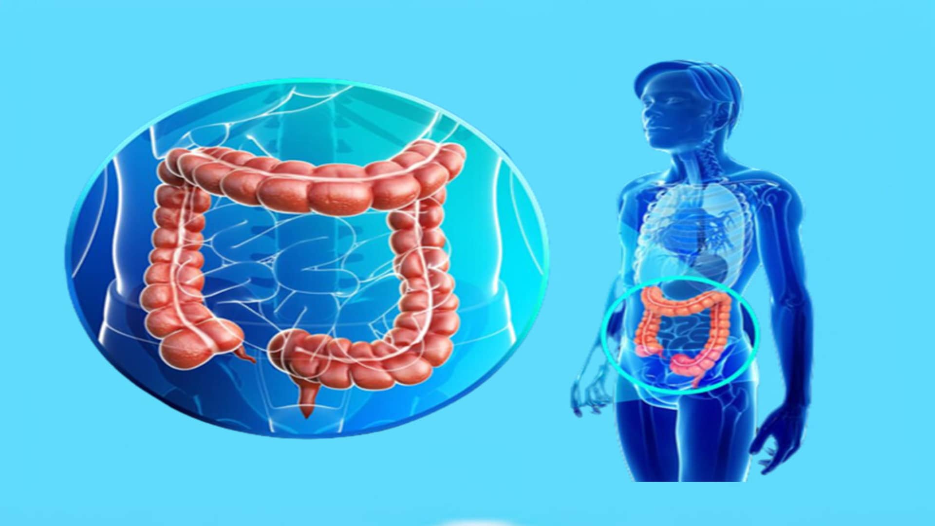 ¿Qué es la coloproctología? - Descubre su impacto en la salud ...